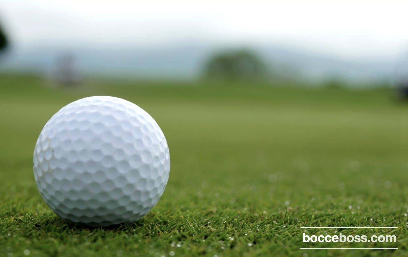 What Can You Substitute for Bocce Balls? - 2026 Reviews & Guide